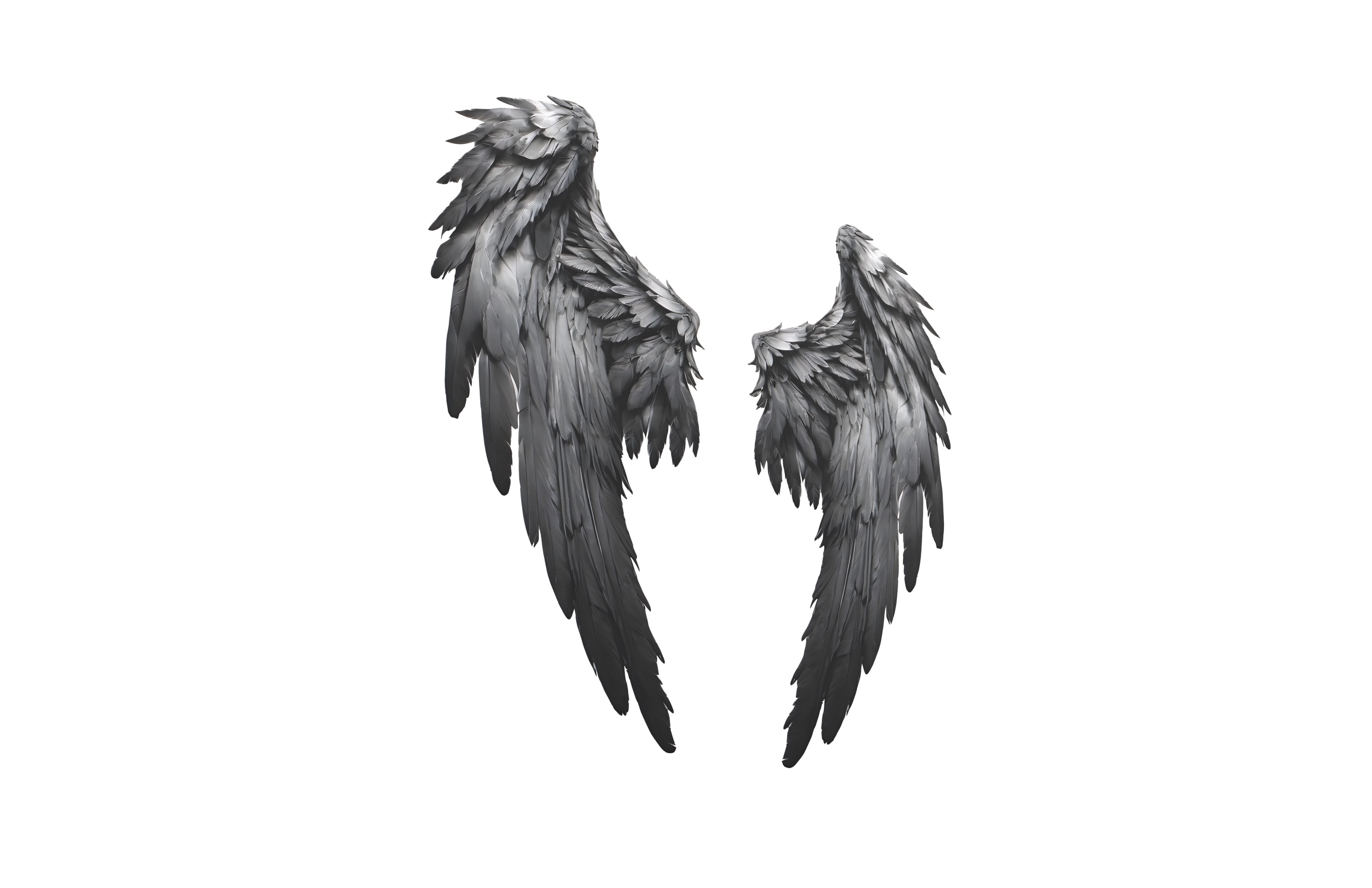 3D model Low Poly Wings v5 001 VR / AR / low-poly | CGTrader
