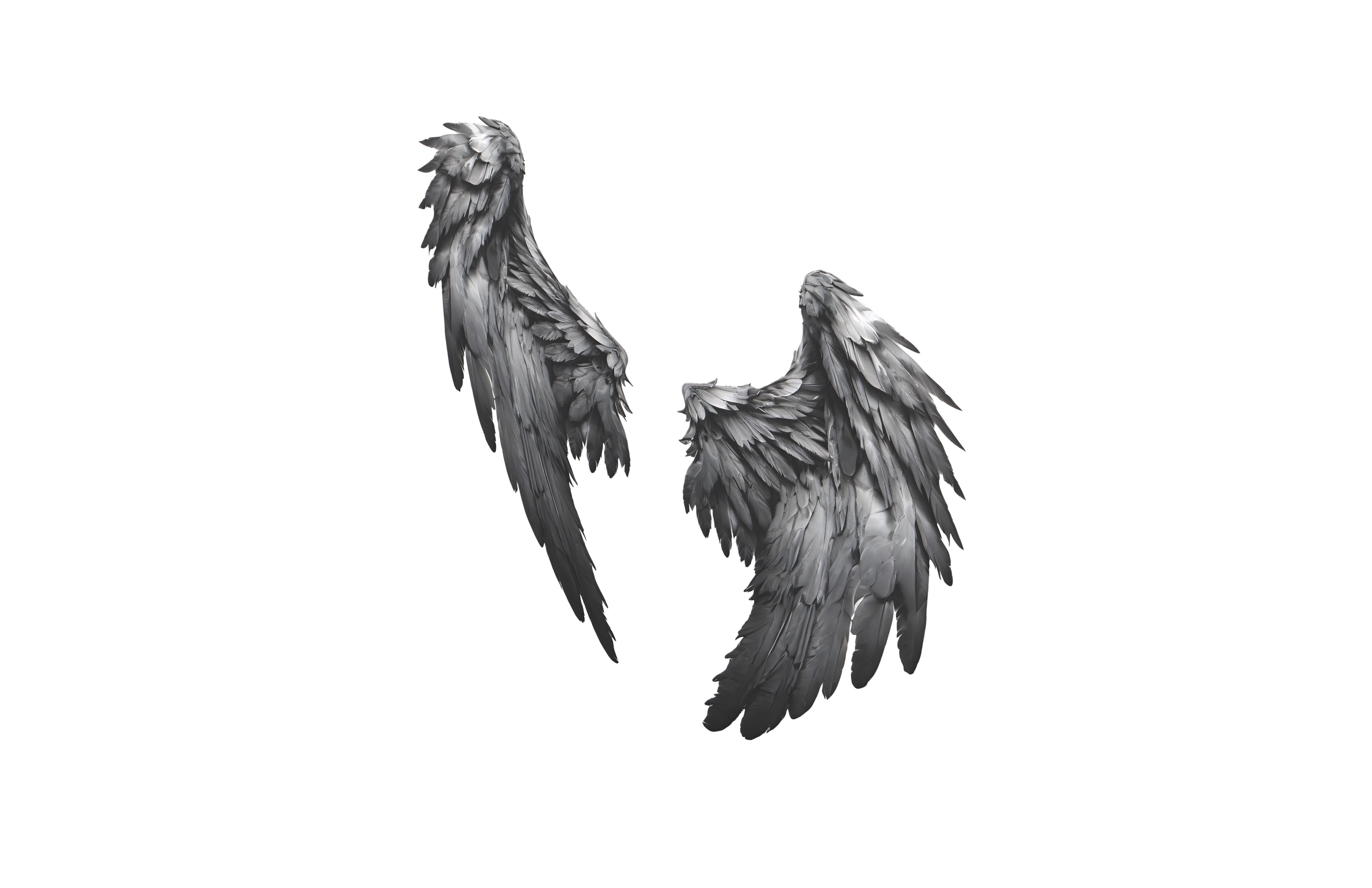 3D model Low Poly Wings v5 001 VR / AR / low-poly | CGTrader