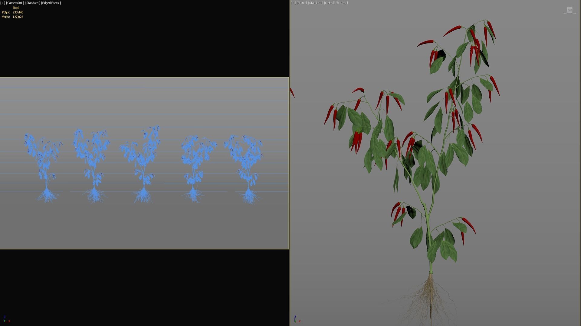 Pepper growth animation 3D model animated | CGTrader