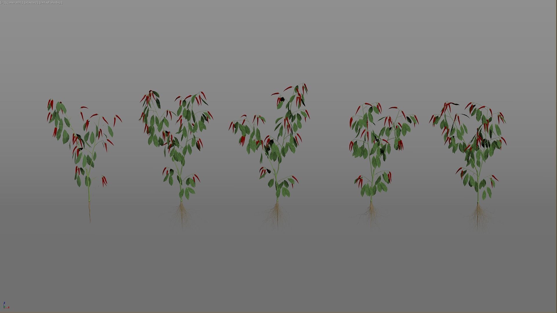 Pepper growth animation 3D model animated | CGTrader