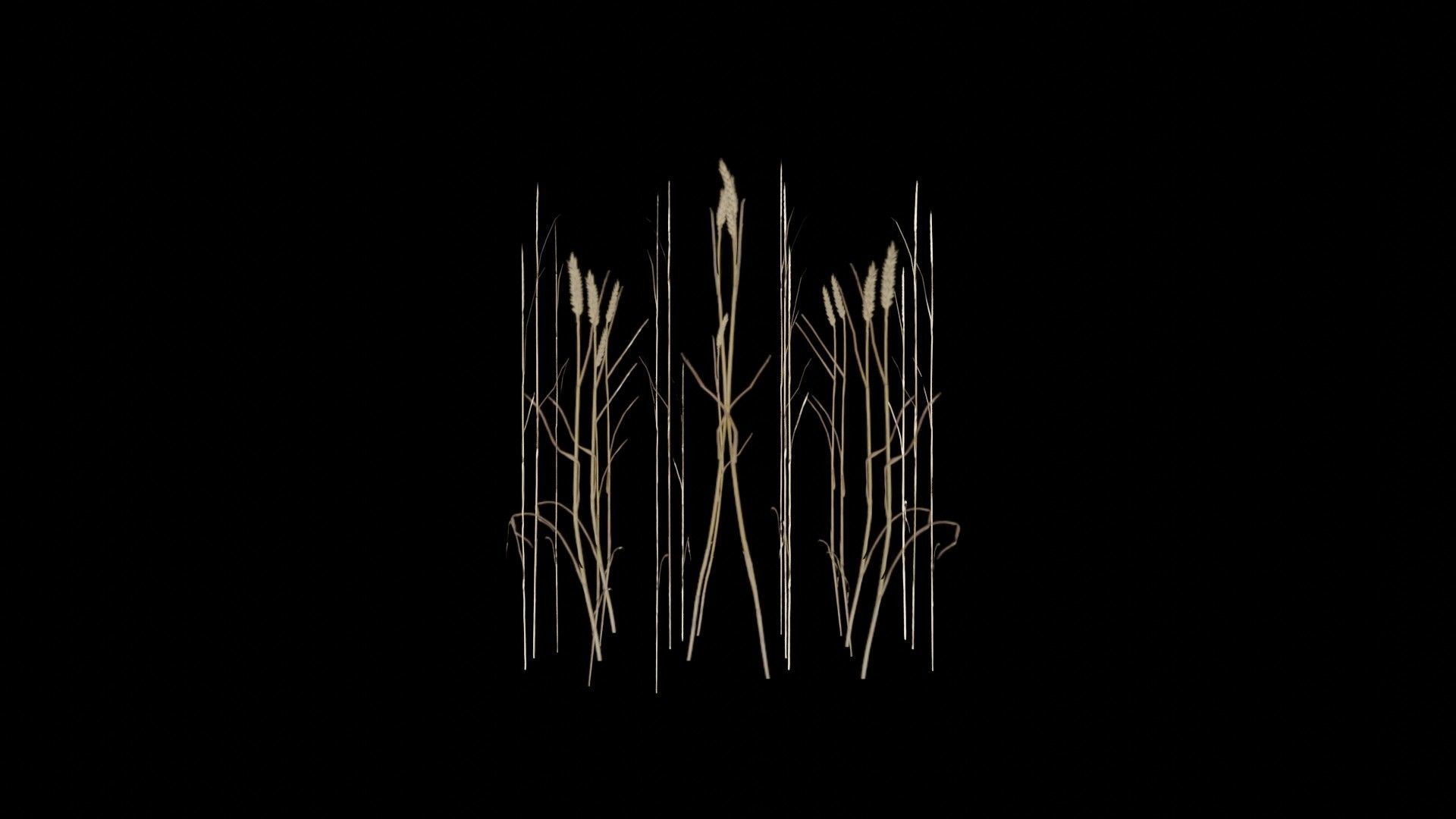 Wheat 3d model free VR / AR / low-poly 3D model | CGTrader