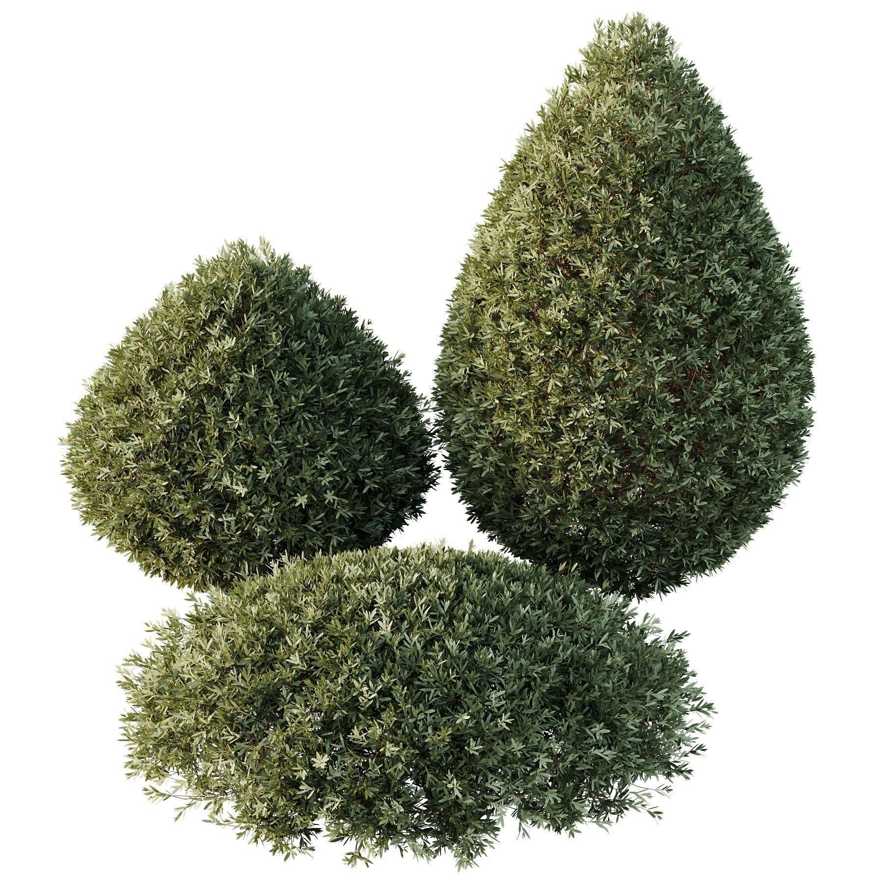 6 Different SETS of Bush SET VOL105 3D Model Collection | CGTrader