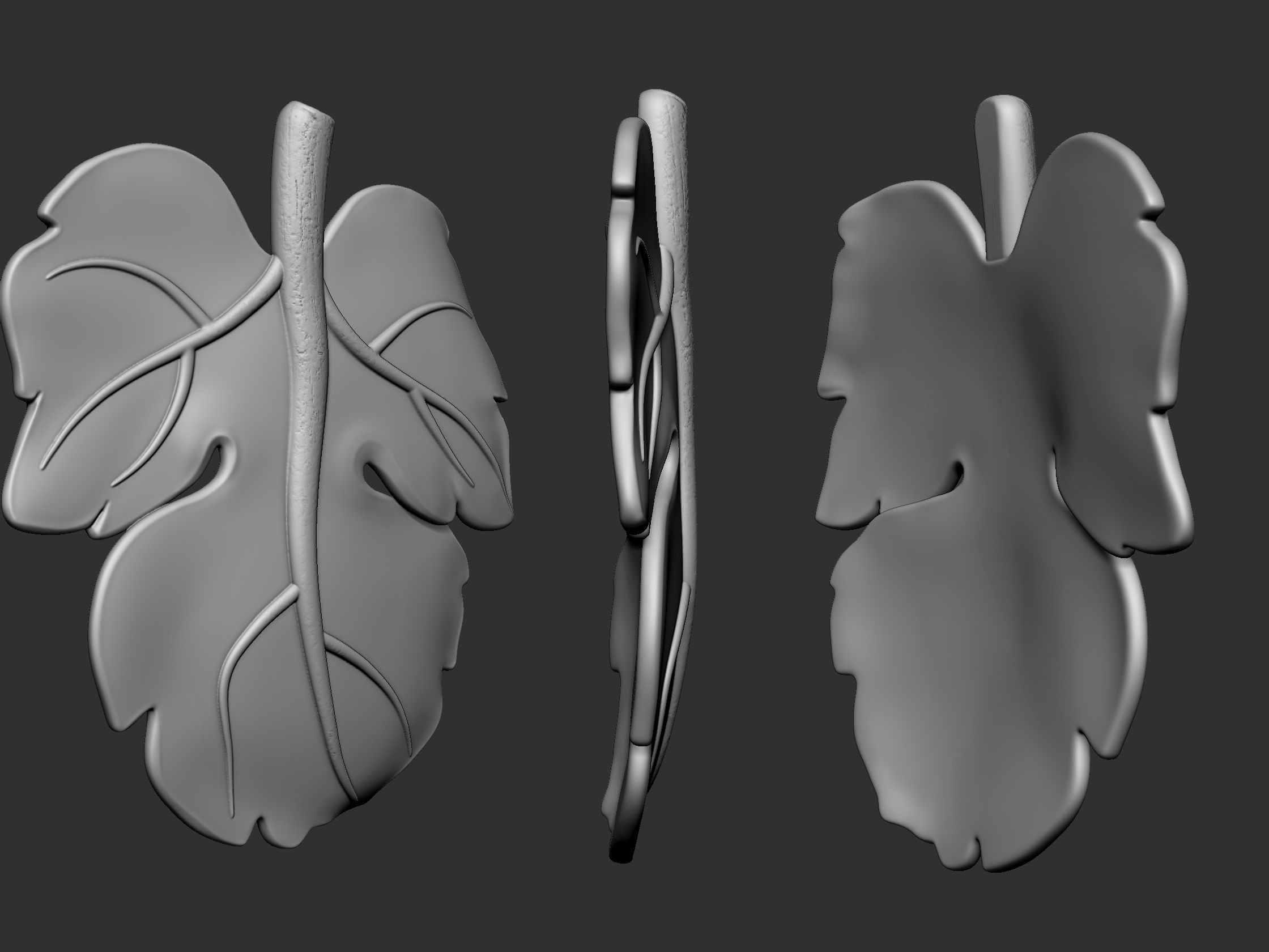 Fig Leaf 3D model 3D printable | CGTrader