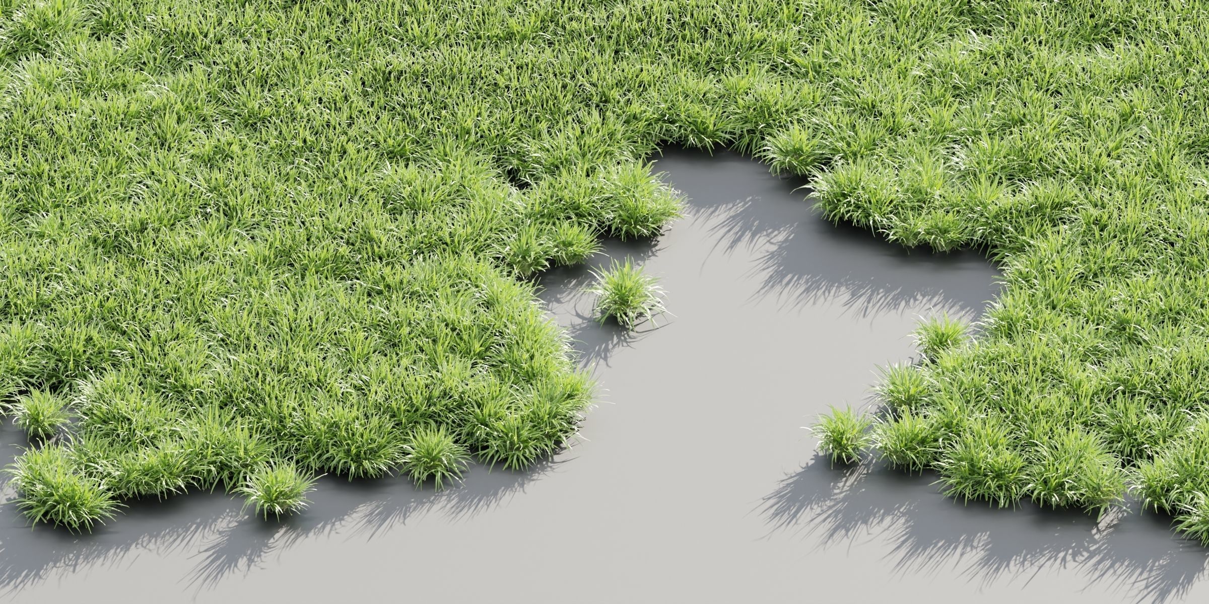 3D model Grass Clumps vol 152-Blender VR / AR / low-poly | CGTrader