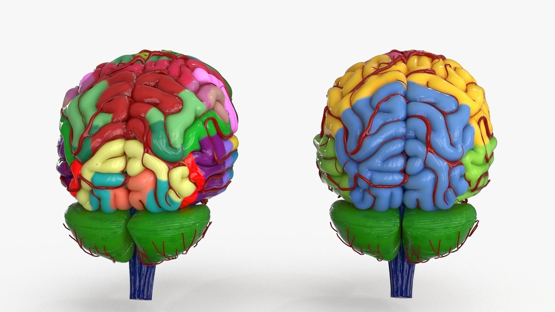 3D model Brain Schematic VR / AR / low-poly | CGTrader