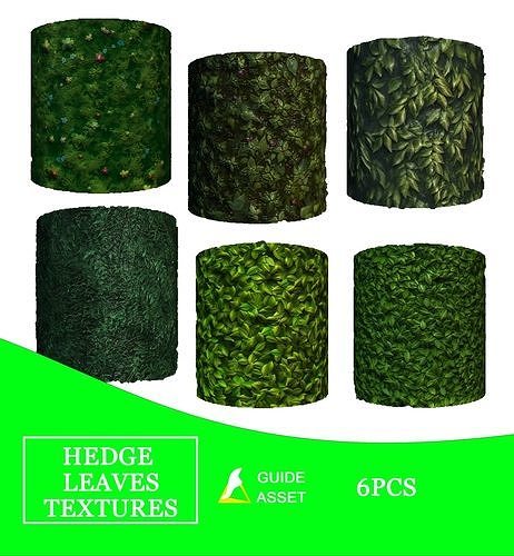 Grass and Hedge PBR Textures Texture | CGTrader