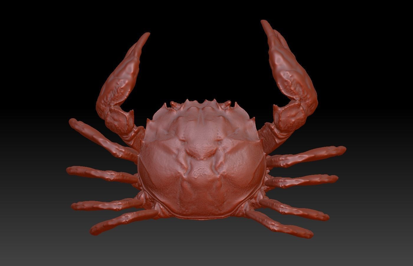 Crab 3D printing hairy crab model sculpture STL file download 3D model ...