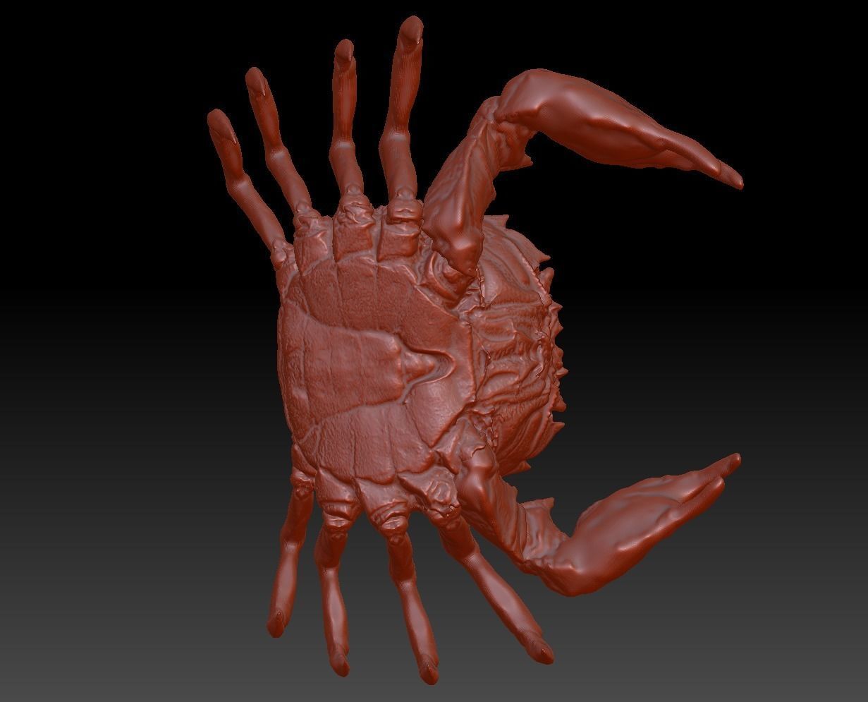 Crab 3D printing hairy crab model sculpture STL file download 3D model ...