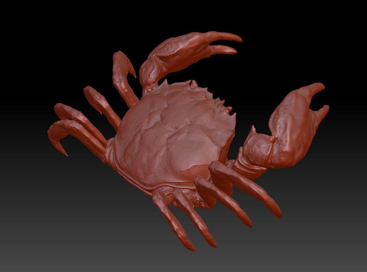 Crab 3D printing hairy crab model sculpture STL file download 3D model ...