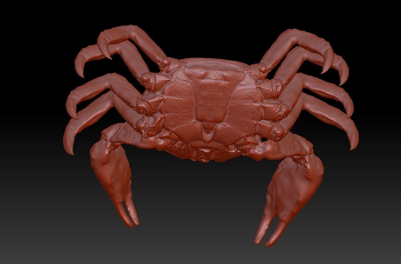 Crab 3D printing hairy crab model sculpture STL file download 3D model ...