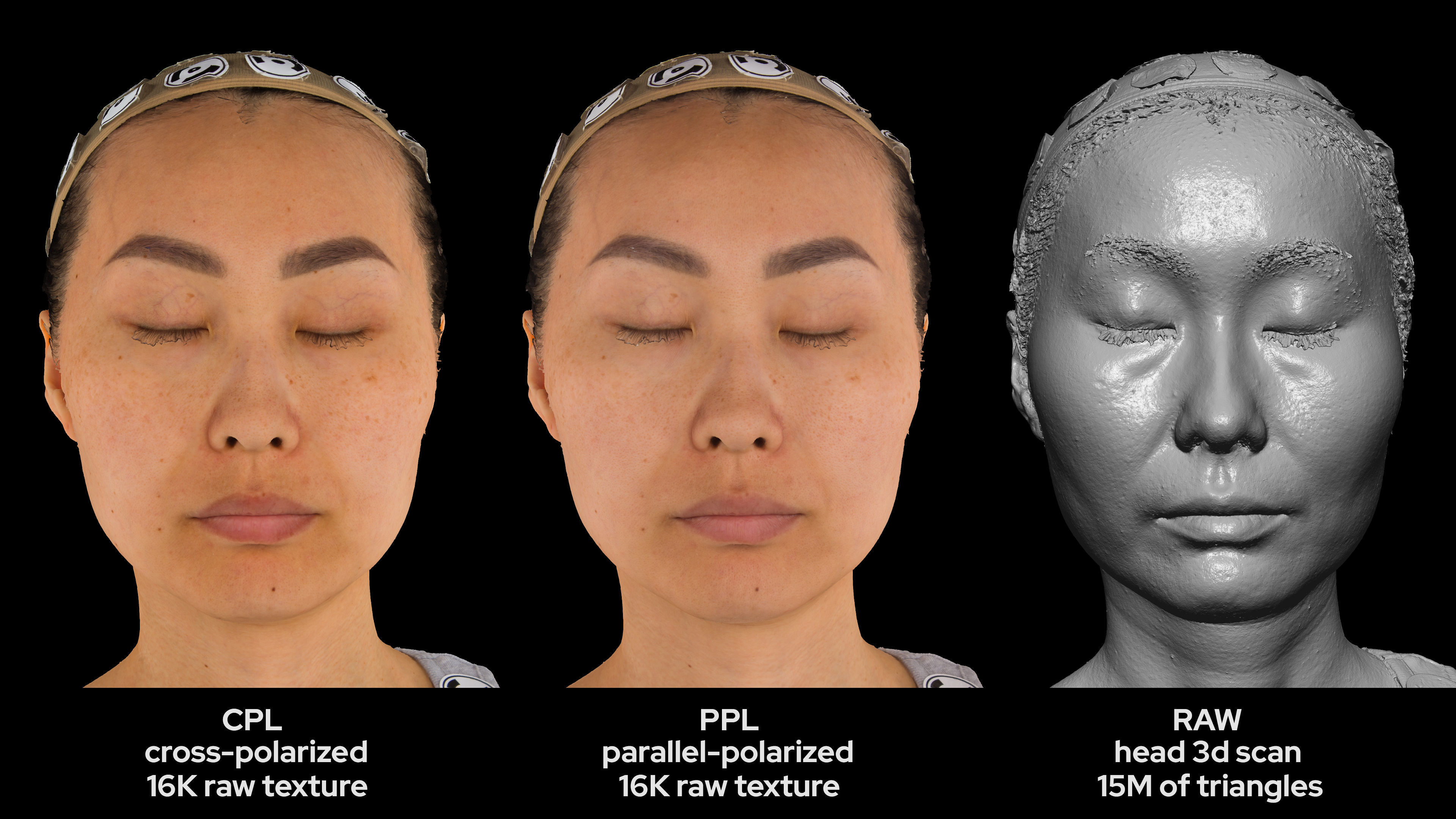 FREE Asian Female 30s head scan 049 free 3D model | CGTrader