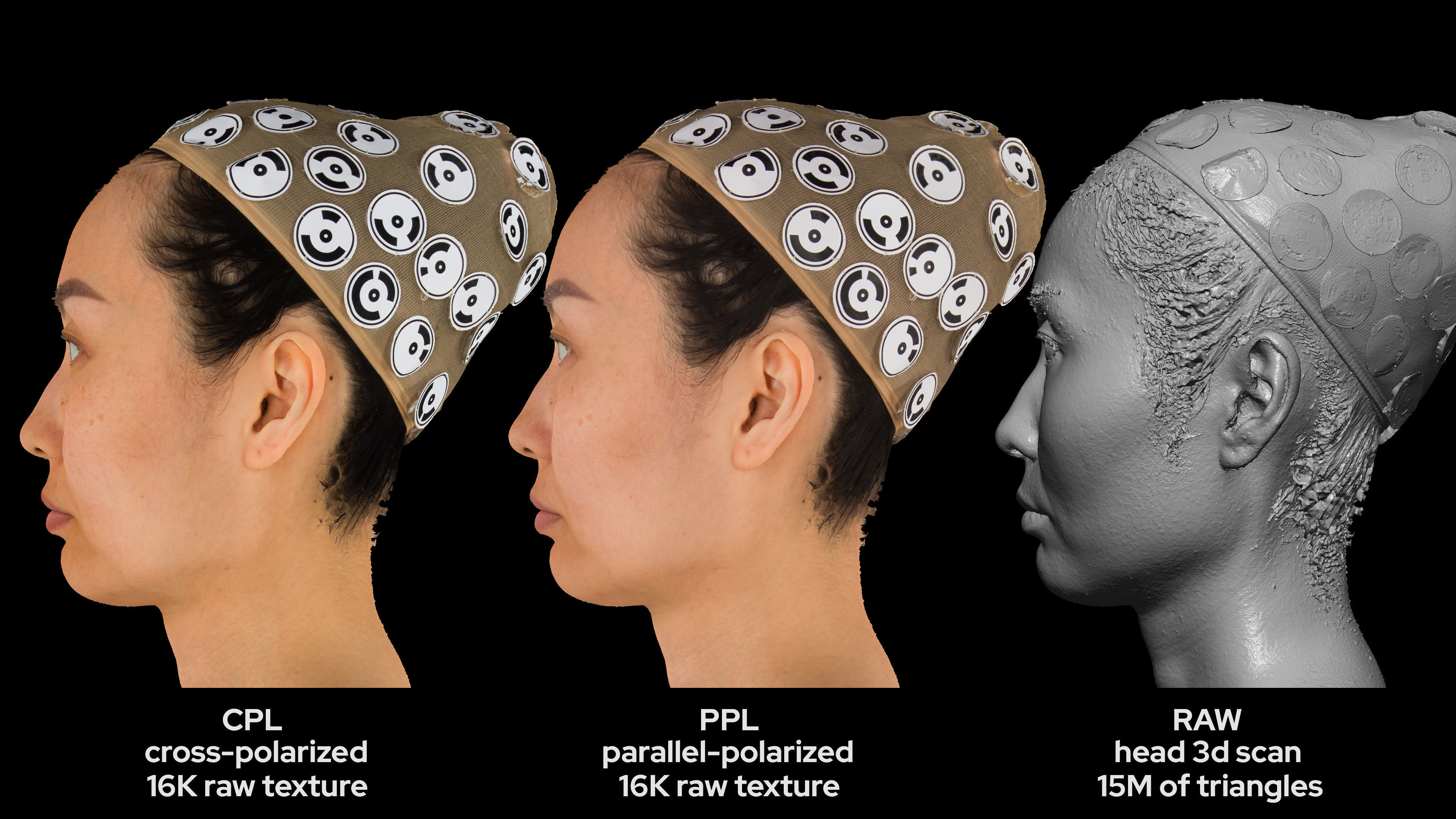 FREE Asian Female 30s head scan 049 free 3D model | CGTrader