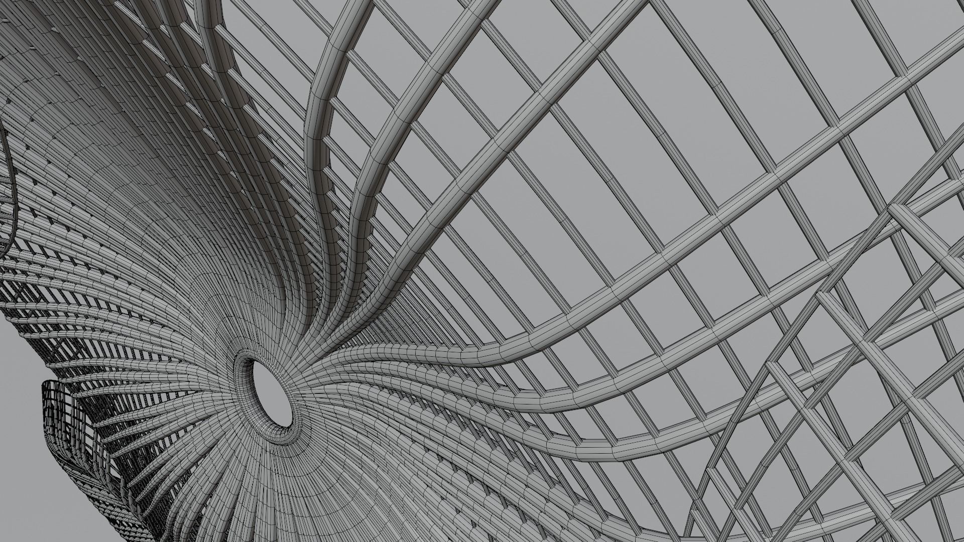 Wall Sculpture Shell Skeleton 3D model | CGTrader