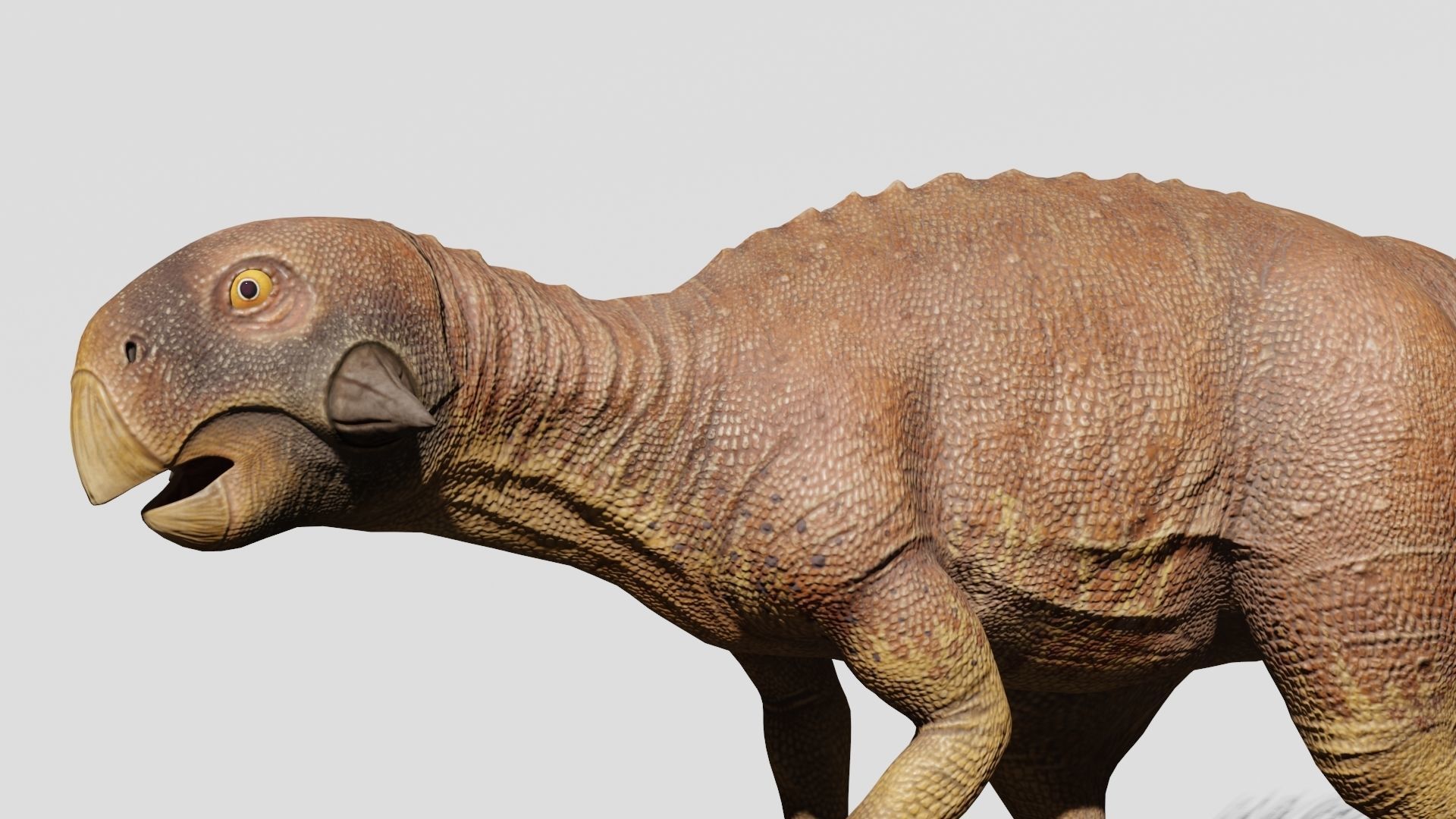 3D model Psittacosaurus VR / AR / low-poly | CGTrader