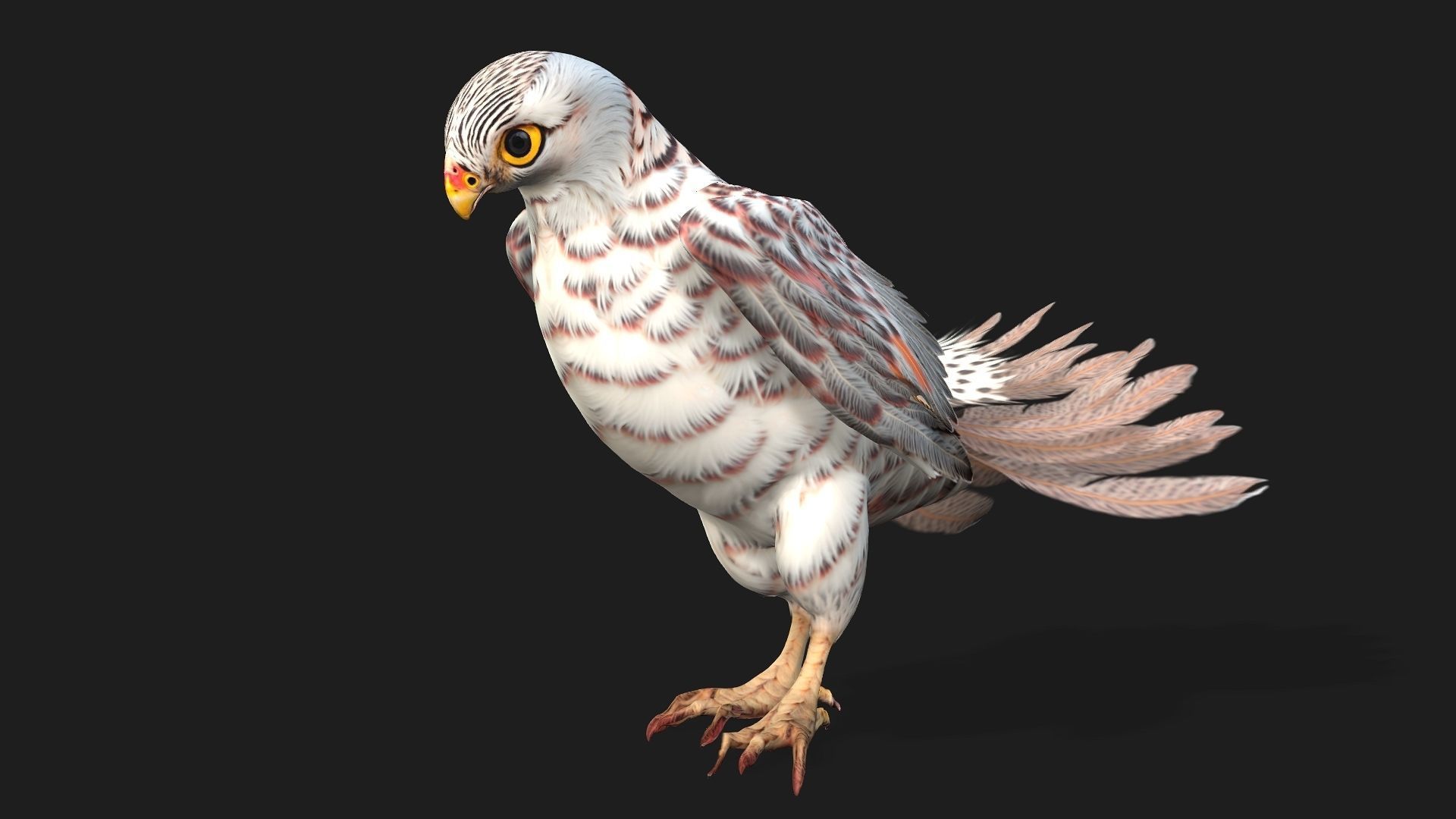 Kestrel B5 3D model animated rigged | CGTrader