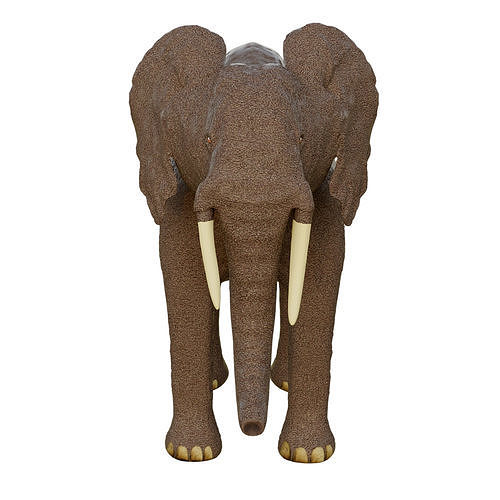 Elephant African PBR texture 3D model | CGTrader