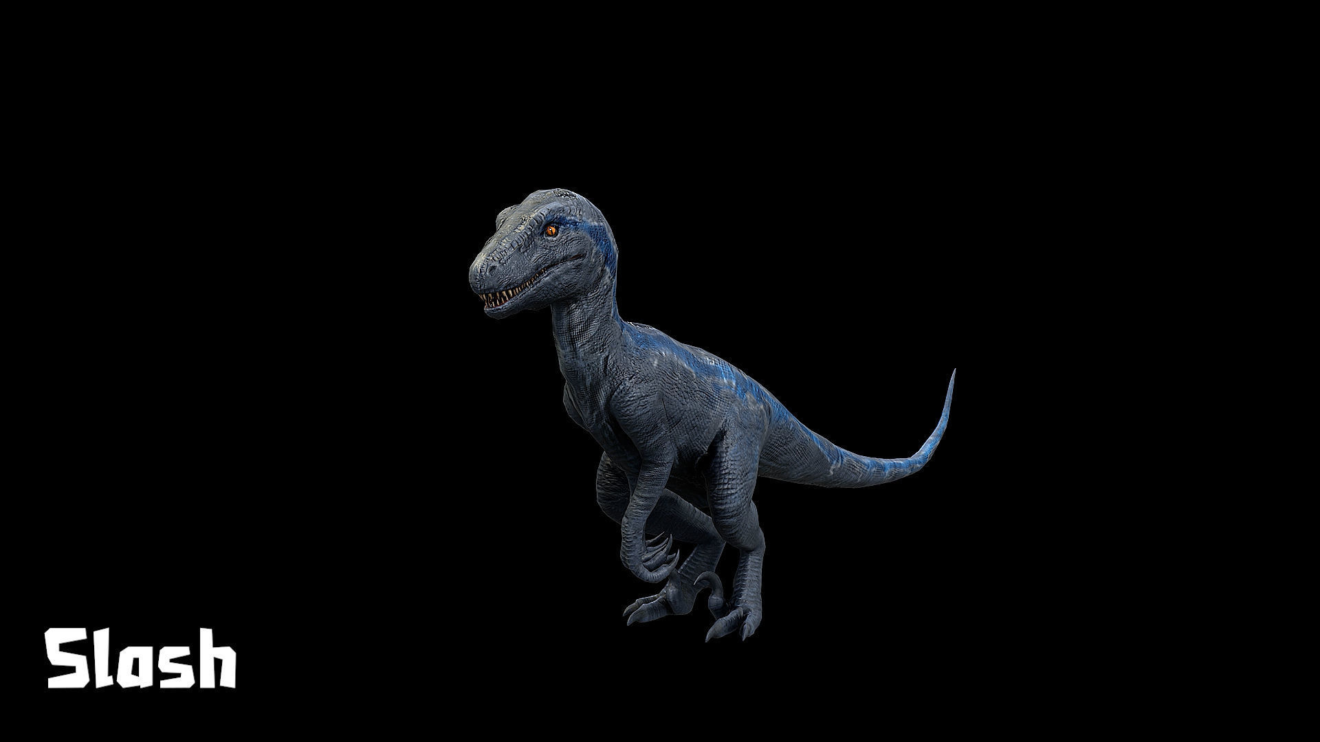 3D model Blue Raptor - Velociraptor VR / AR / low-poly | CGTrader