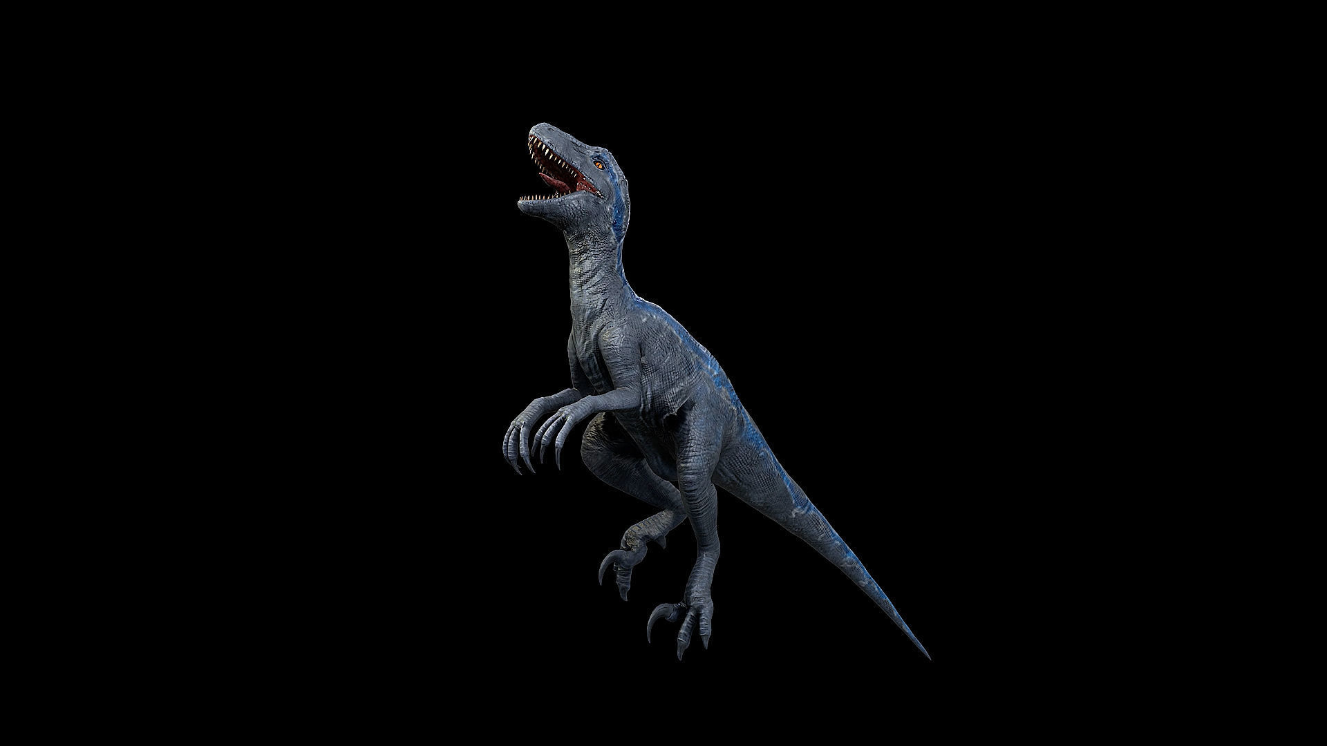 3D model Blue Raptor - Velociraptor VR / AR / low-poly | CGTrader