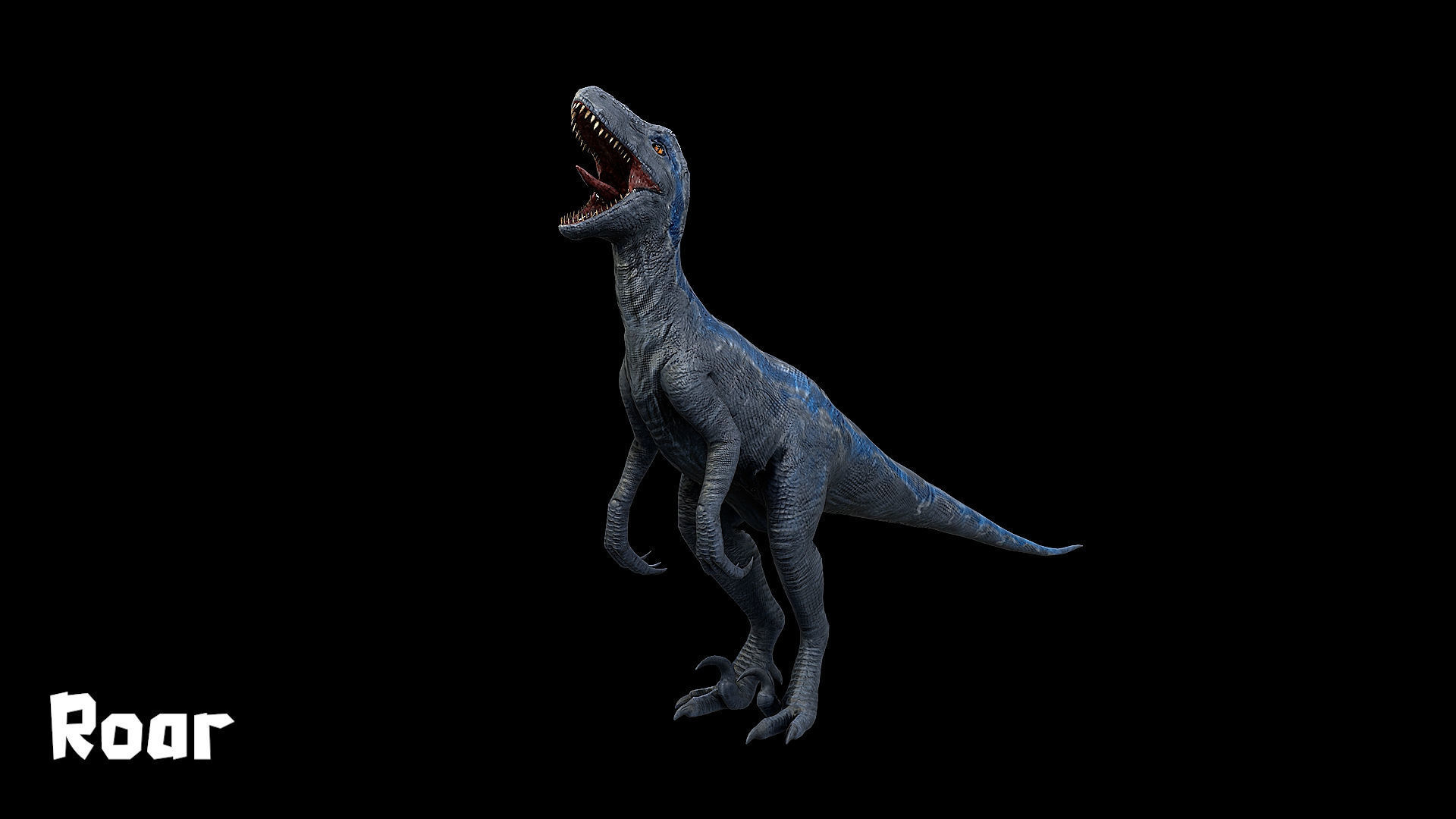 3D model Blue Raptor - Velociraptor VR / AR / low-poly | CGTrader