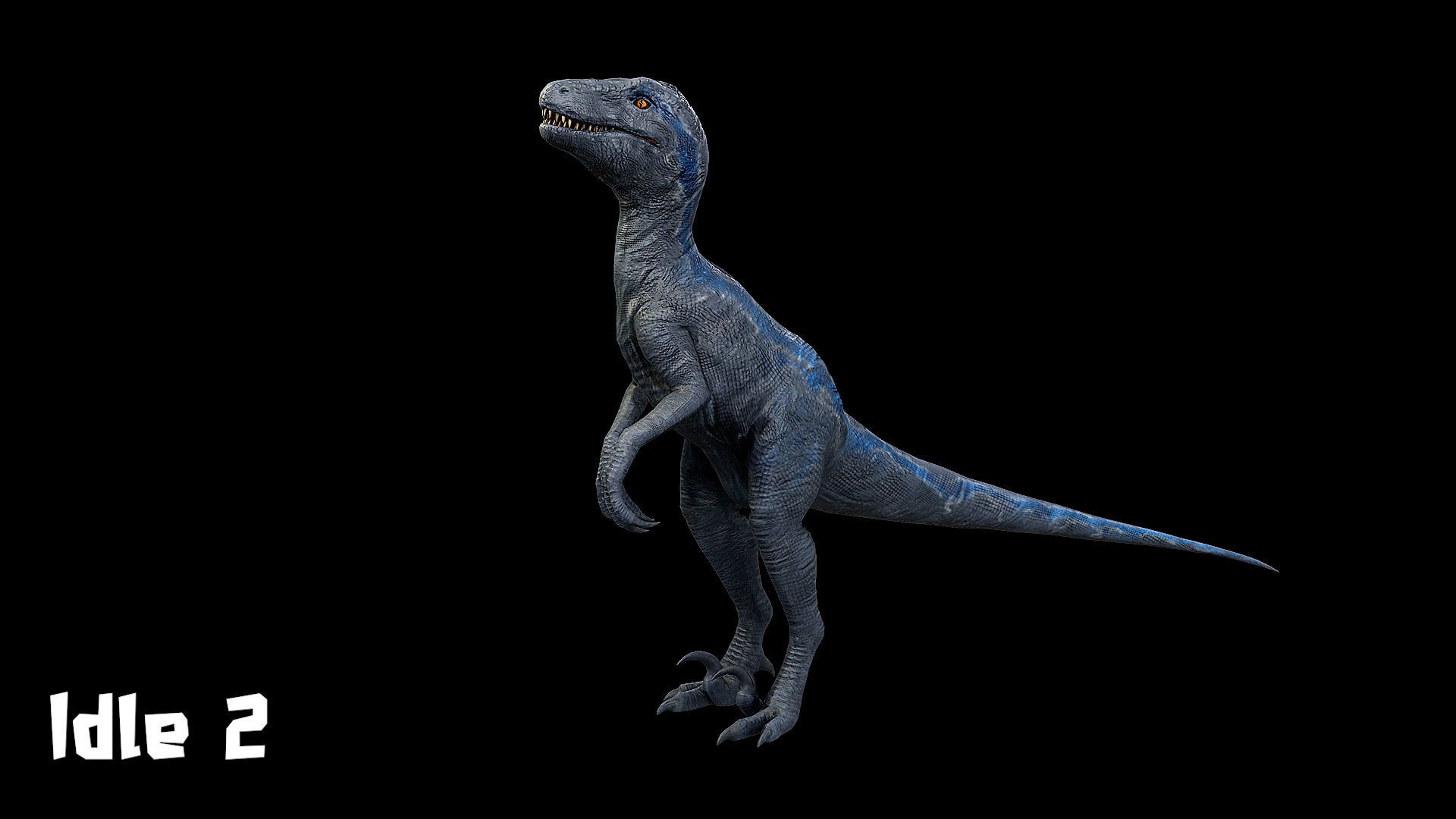 3D model Blue Raptor - Velociraptor VR / AR / low-poly | CGTrader