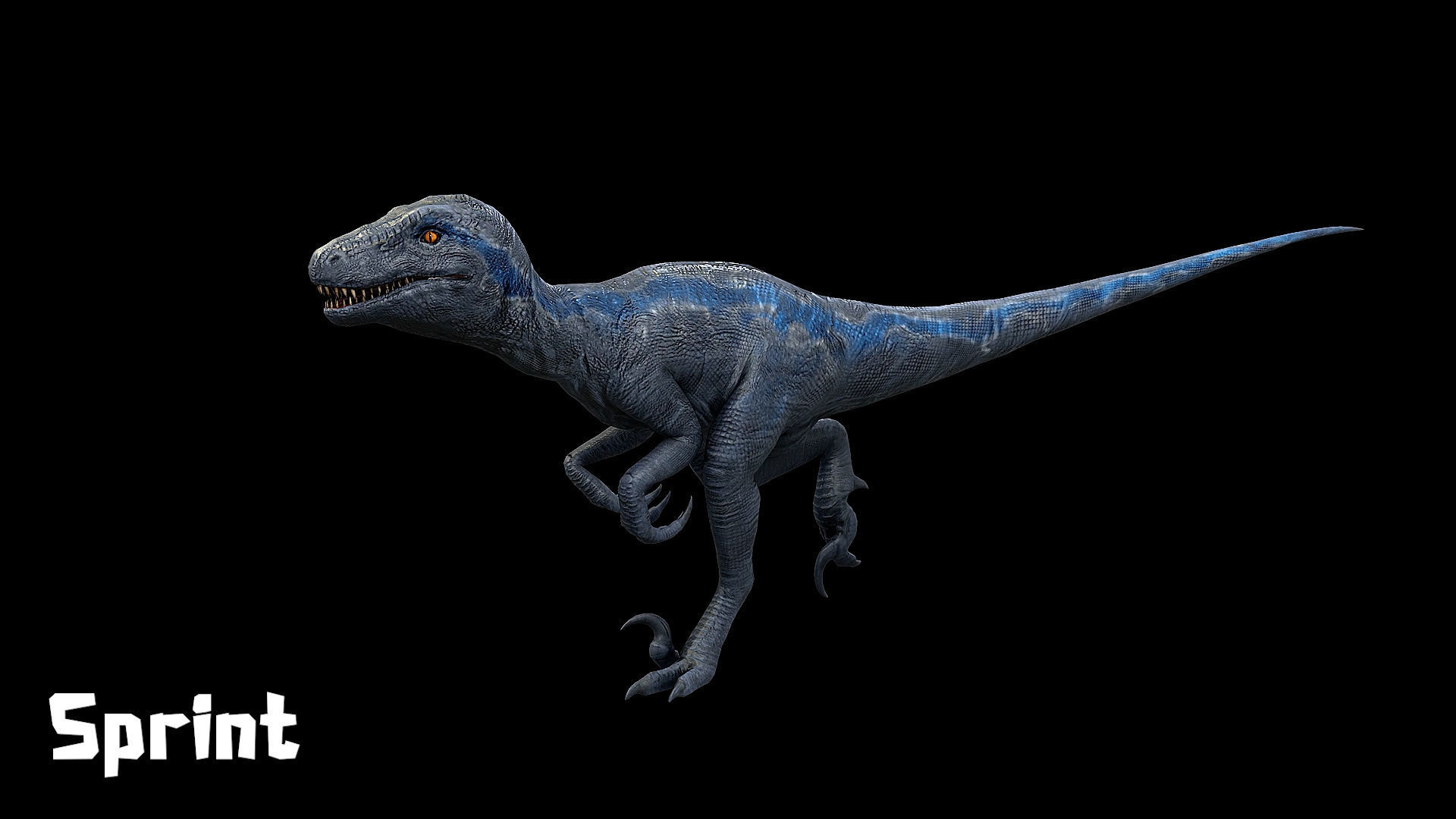 3D model Blue Raptor - Velociraptor VR / AR / low-poly | CGTrader