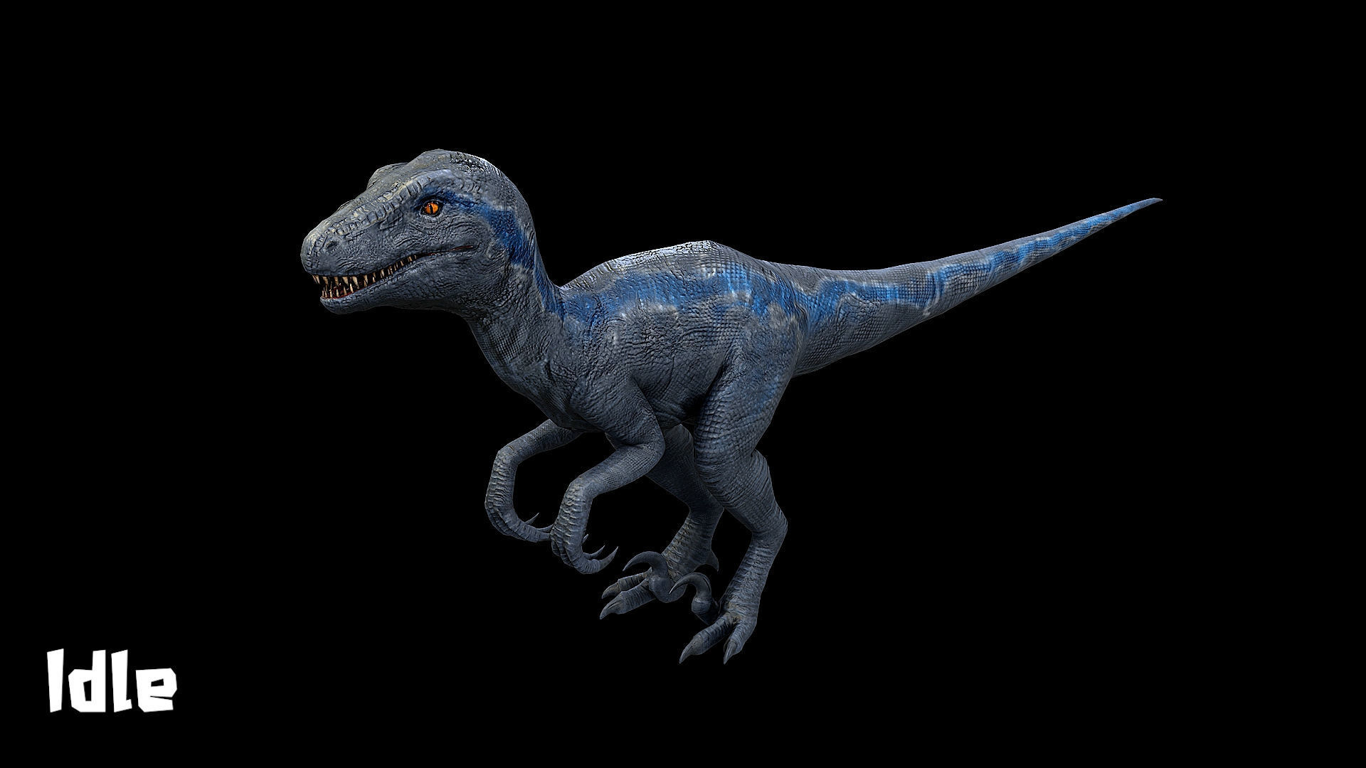 3D model Blue Raptor - Velociraptor VR / AR / low-poly | CGTrader