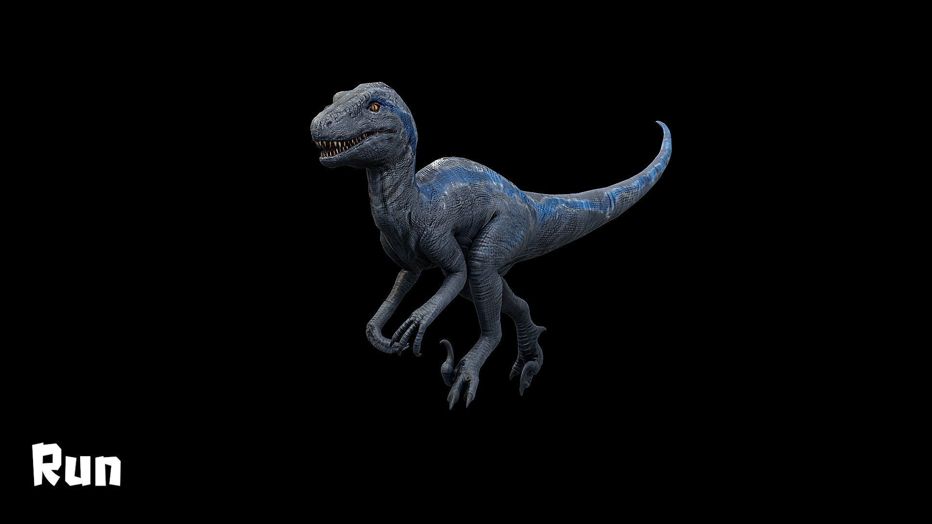 3D model Blue Raptor - Velociraptor VR / AR / low-poly | CGTrader