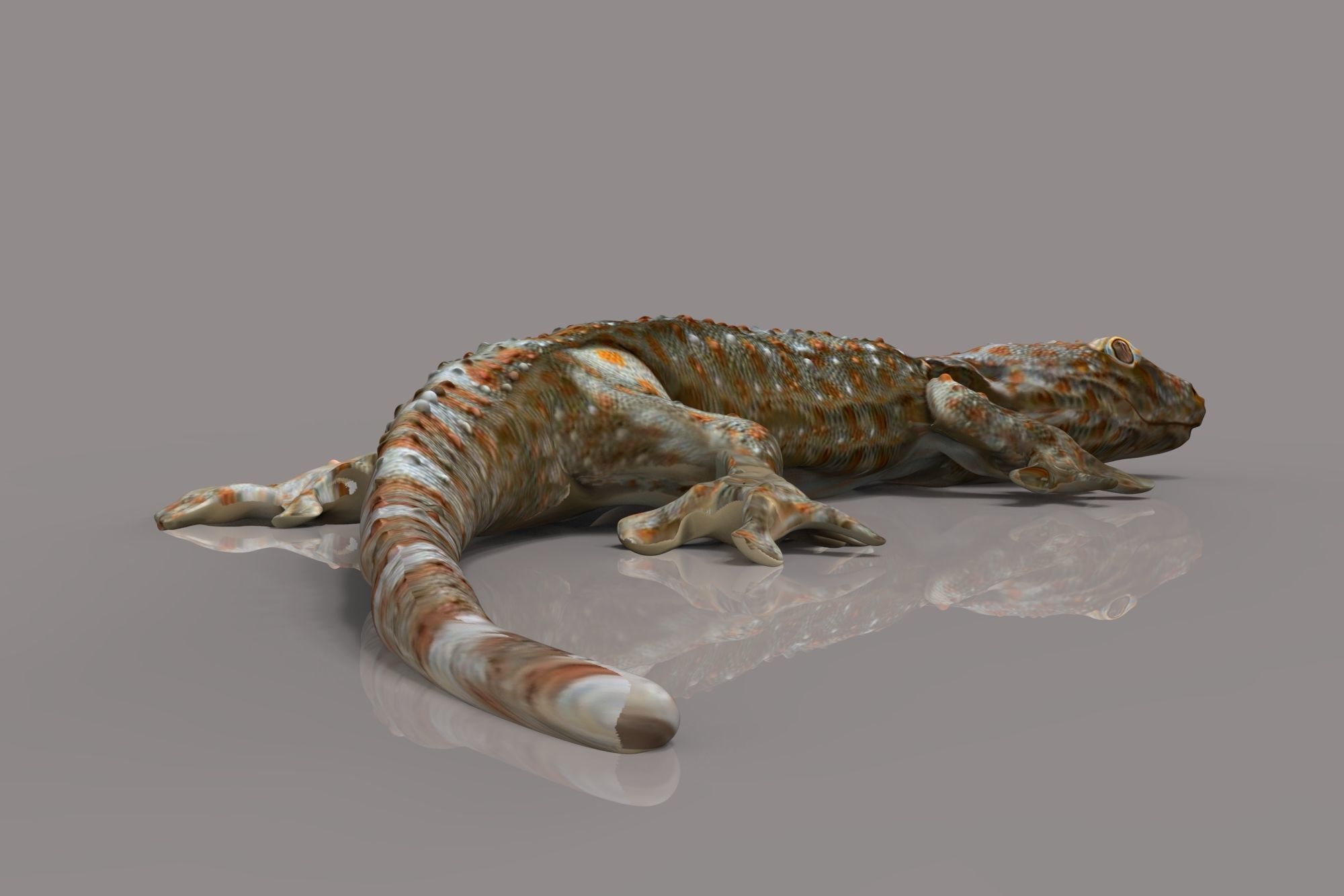 GECKO - GECO 3D model | CGTrader