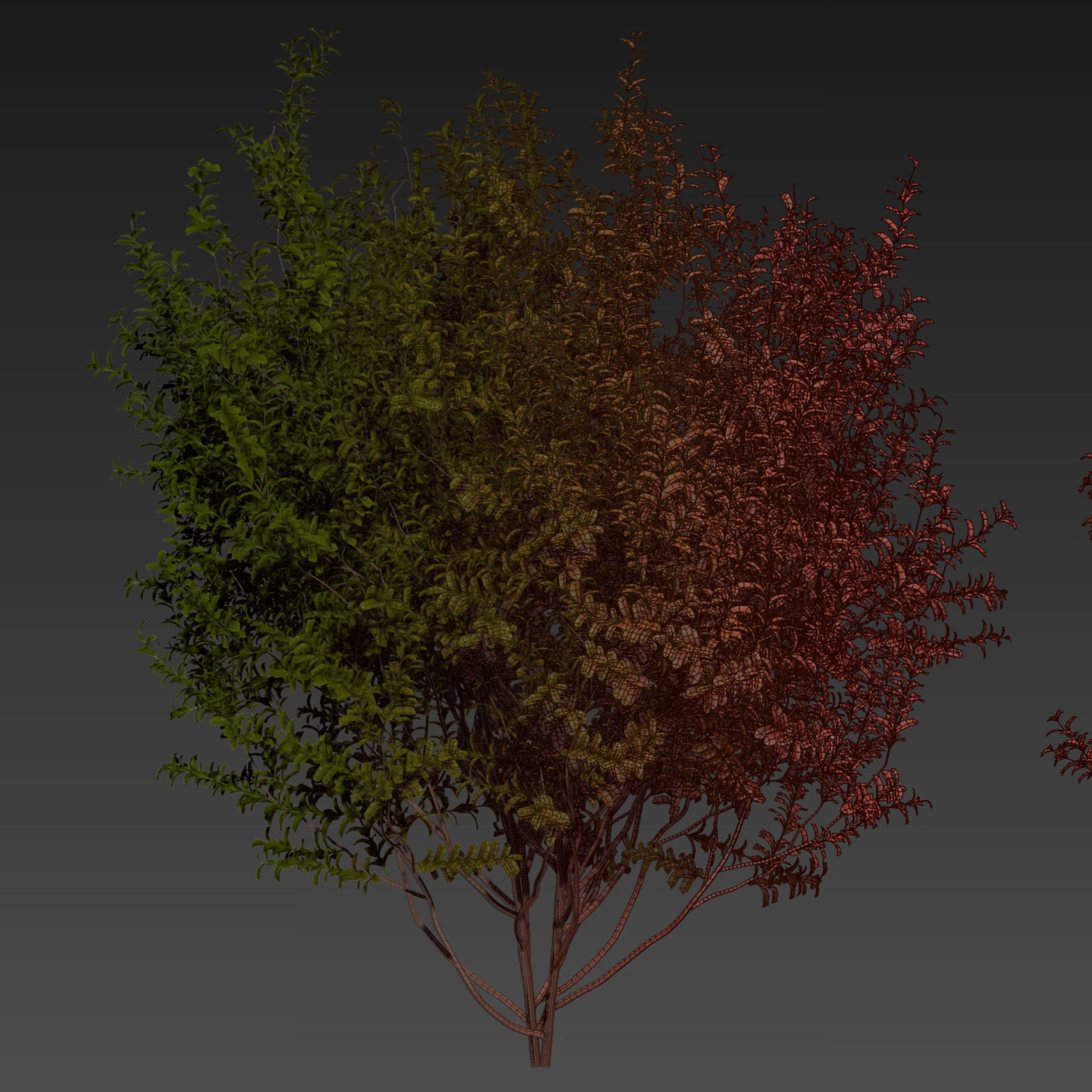 Collection plant vol 551 - Sapodilla - bush - leaf 3D model | CGTrader