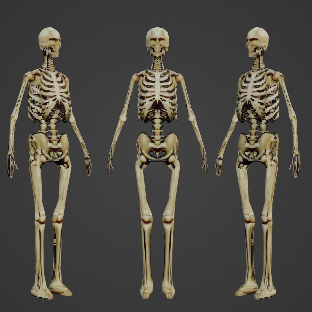 Lowpoly Skeleton Character free VR / AR / low-poly 3D model | CGTrader