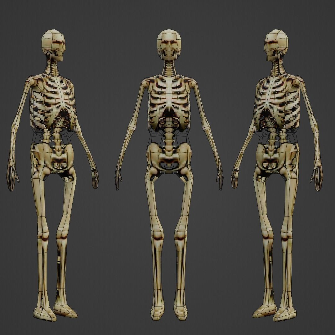 Lowpoly Skeleton Character free VR / AR / low-poly 3D model | CGTrader
