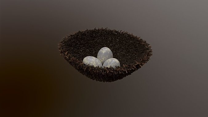 Bird nest 3D model | CGTrader