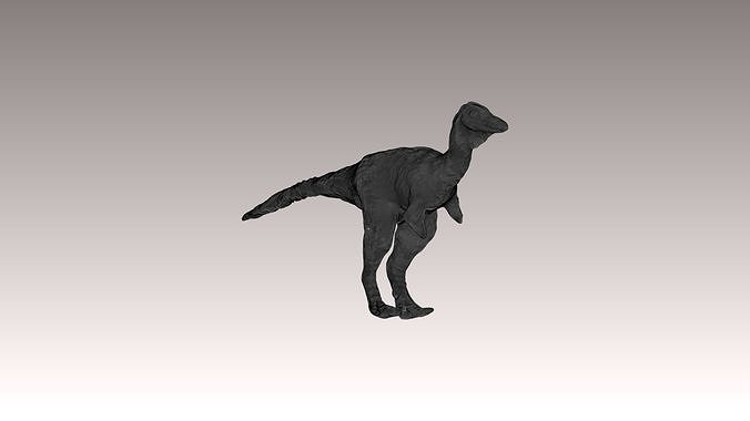 Patagonykus Dinosaur 3D model 3D printable | CGTrader