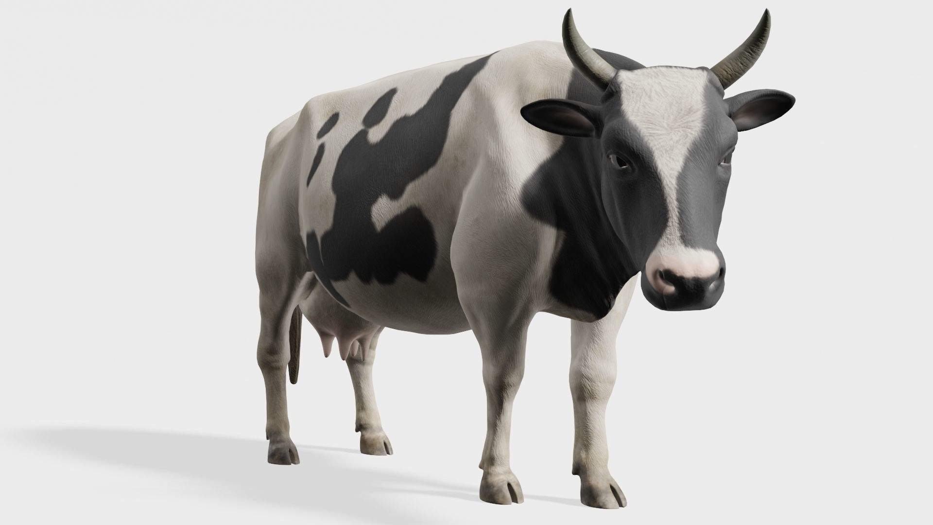 3D model free cow 3d model with realistic texture VR / AR / low-poly ...