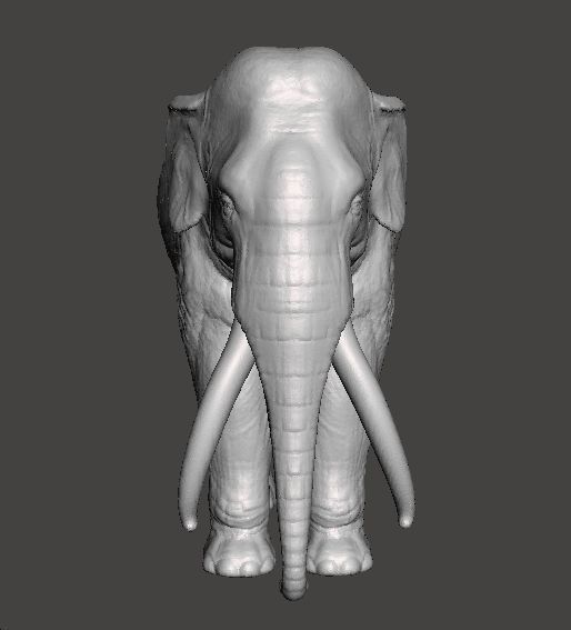 ASIAN INDIAN ELEPHANT FIGURE MODEL ANIMAL CREATURE WILDLIFE 3D model 3D ...