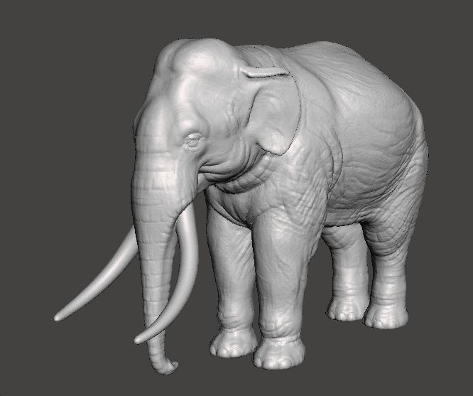 ASIAN INDIAN ELEPHANT FIGURE MODEL ANIMAL CREATURE WILDLIFE 3D model 3D ...