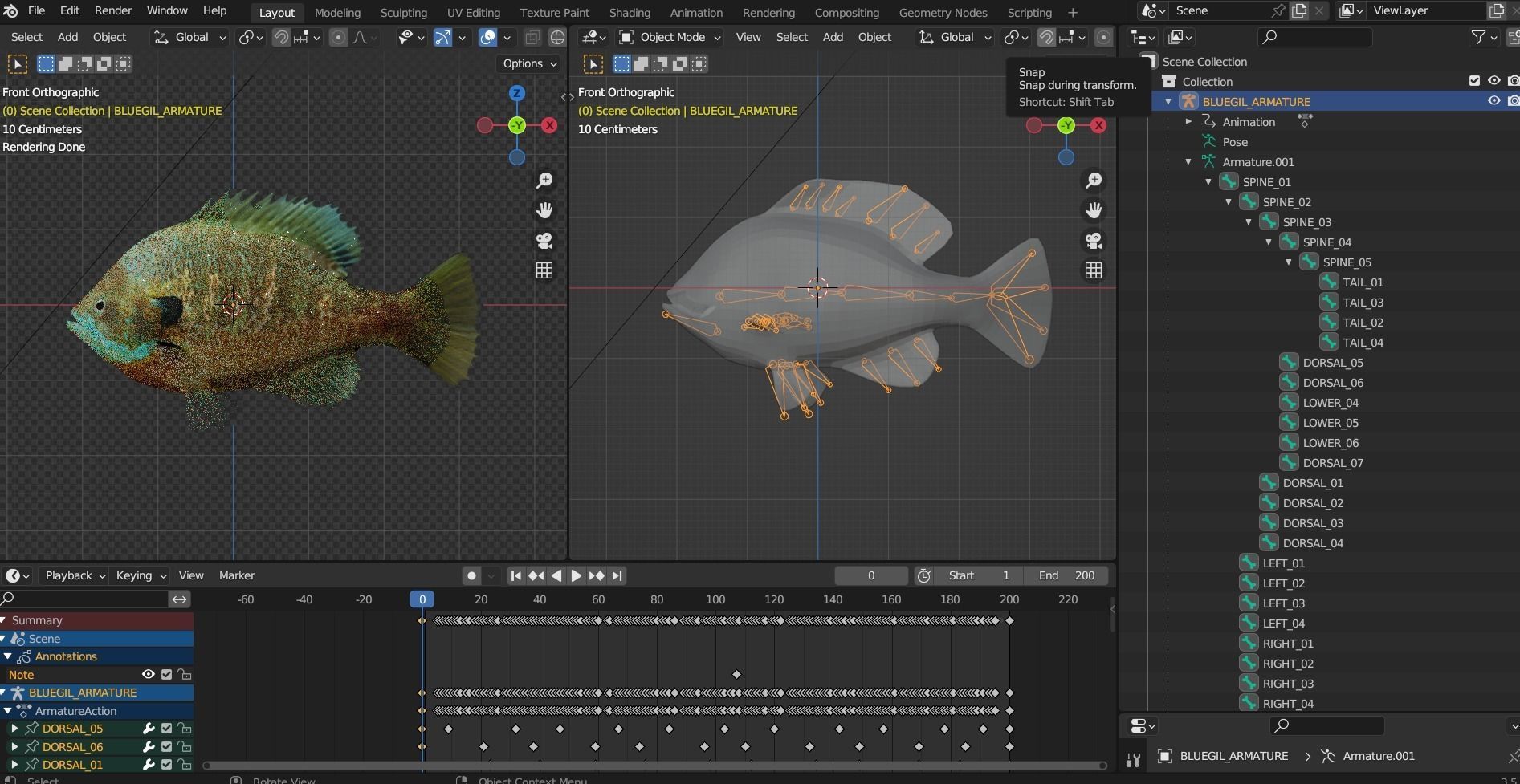 3D model Animated Freshwater Fish VR / AR / low-poly | CGTrader