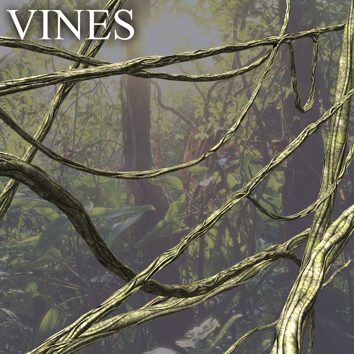3D model Vines in forest VR / AR / low-poly | CGTrader