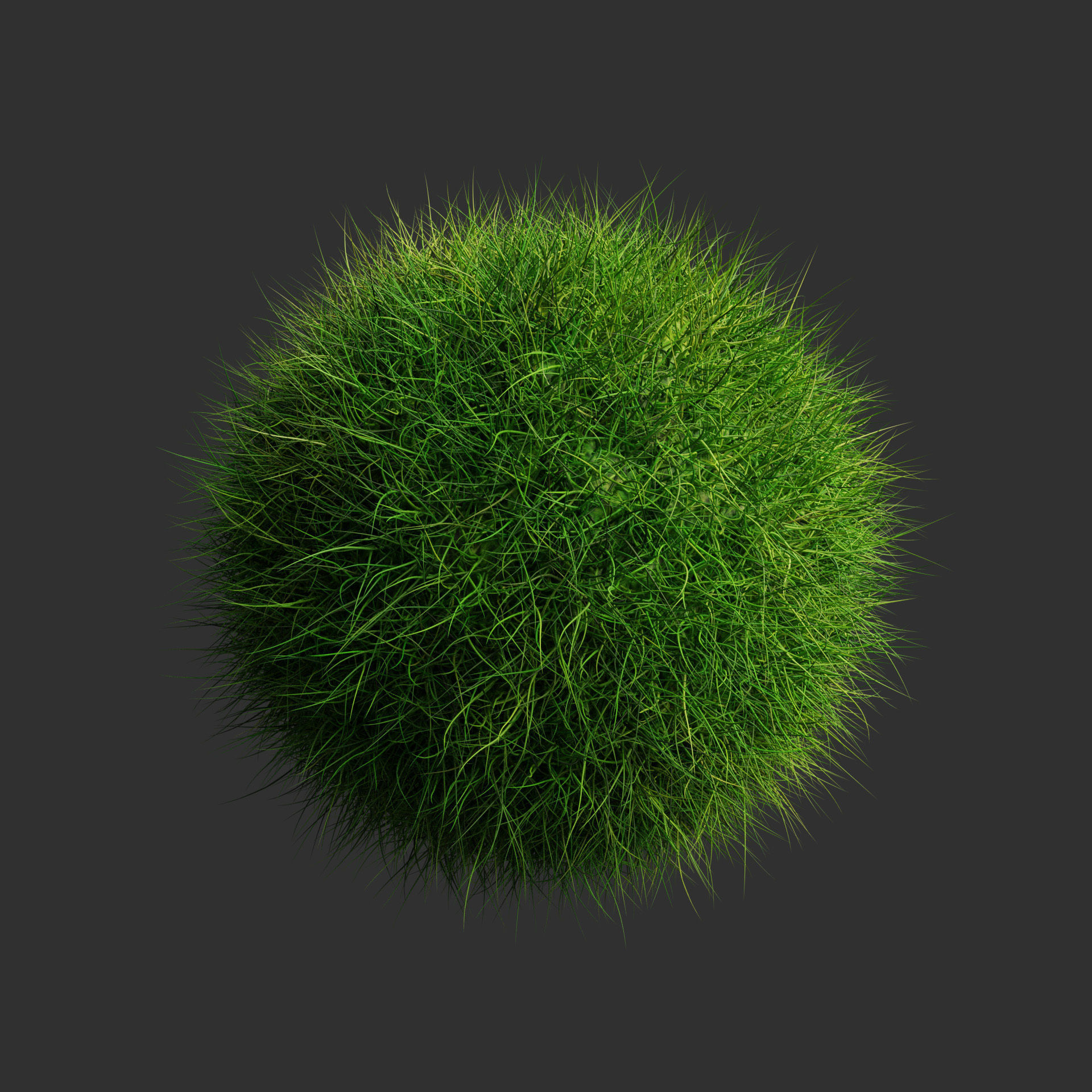 Grass Material in blender Texture | CGTrader