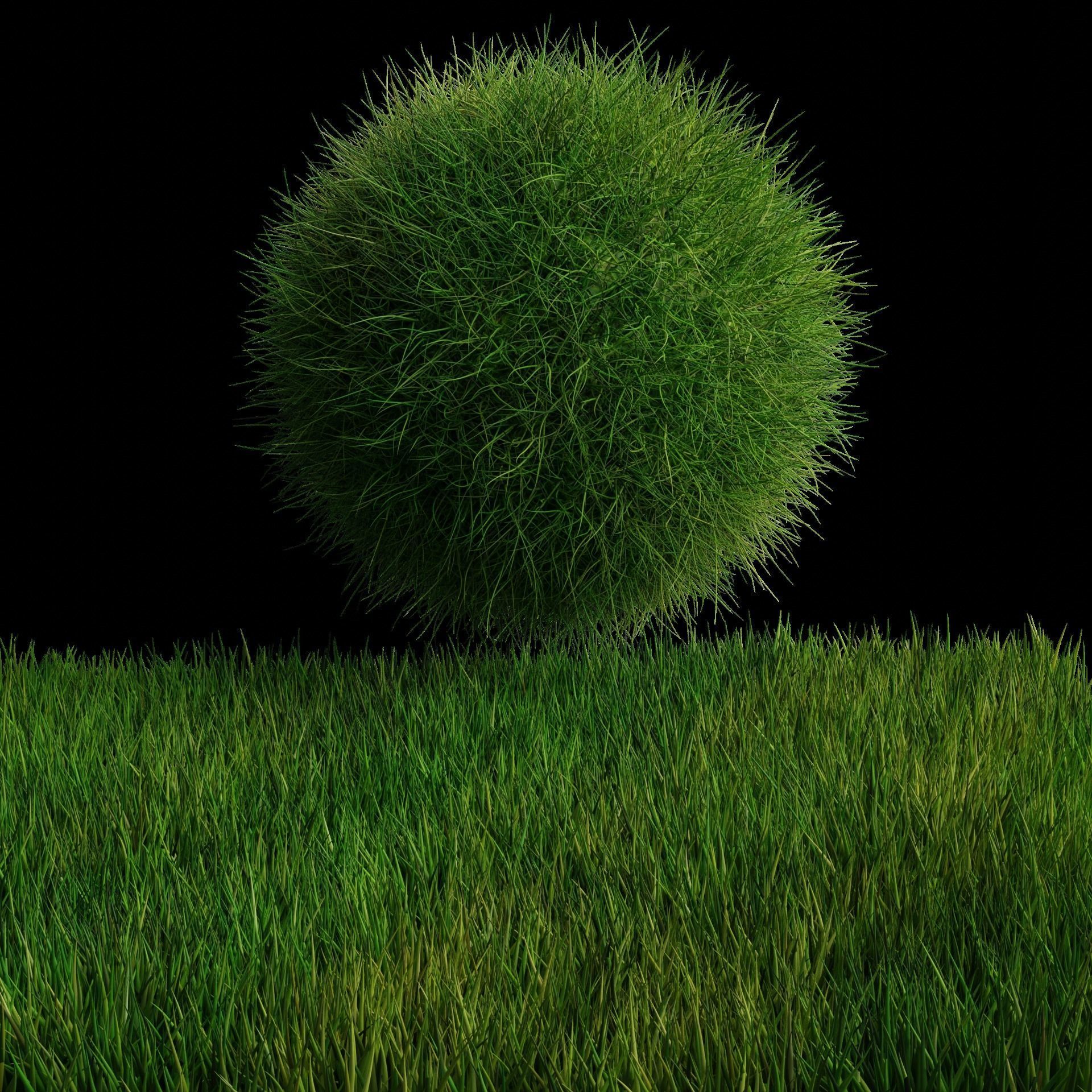 Grass Material in blender Texture | CGTrader