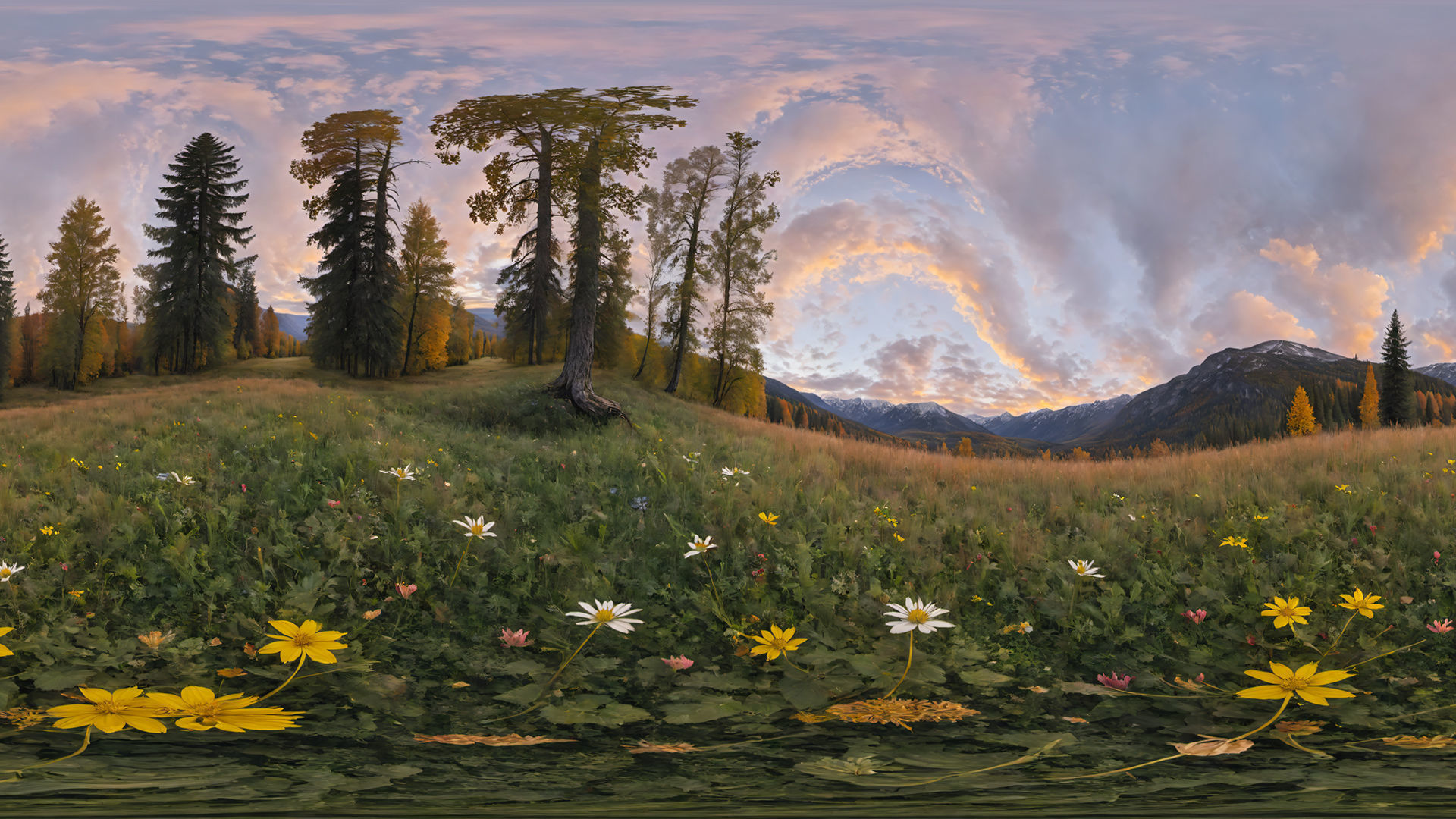 3D model HDRI Meadow Landscapes VR / AR / low-poly | CGTrader