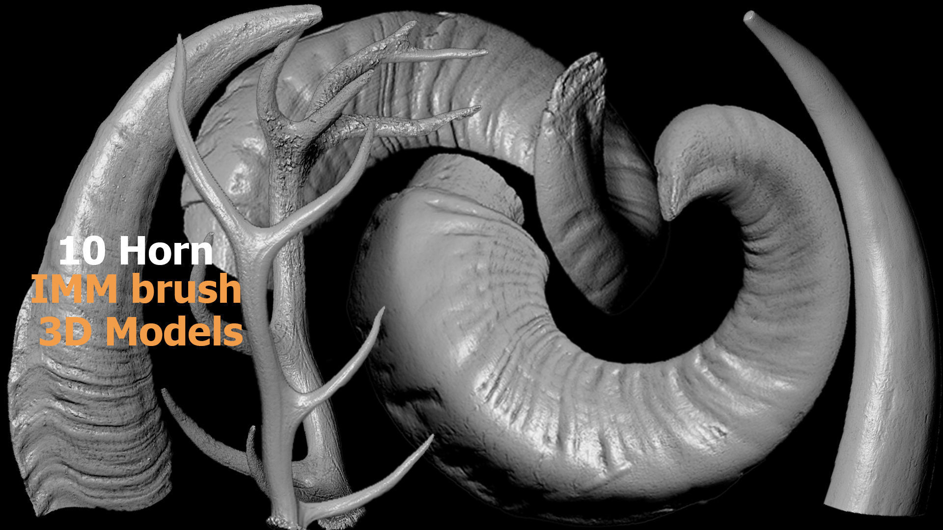 10 Horns IMM Brush 3D Models 3D model | CGTrader