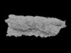 3D Topographical Map of Puerto Rico 3D model 3D printable | CGTrader