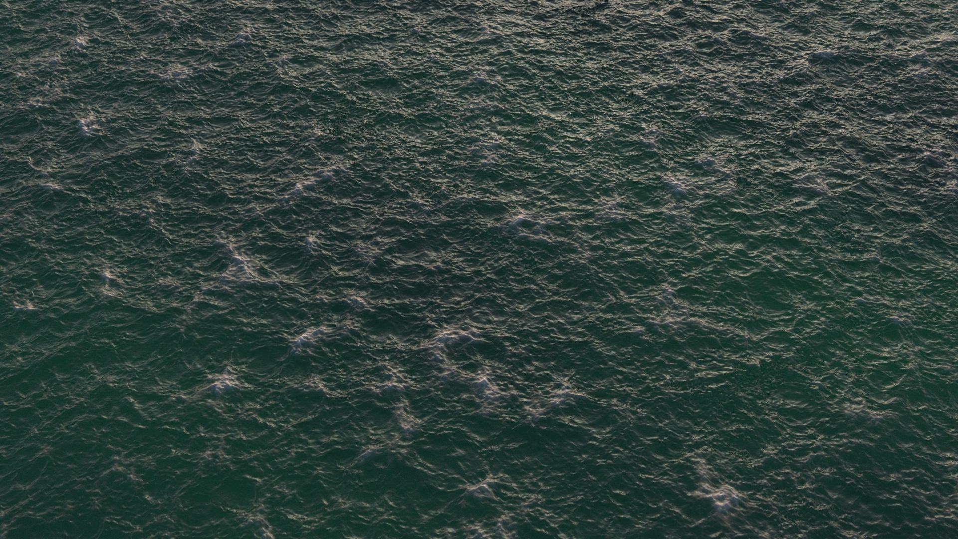 Displacement animated ocean water with foam Texture animated | CGTrader