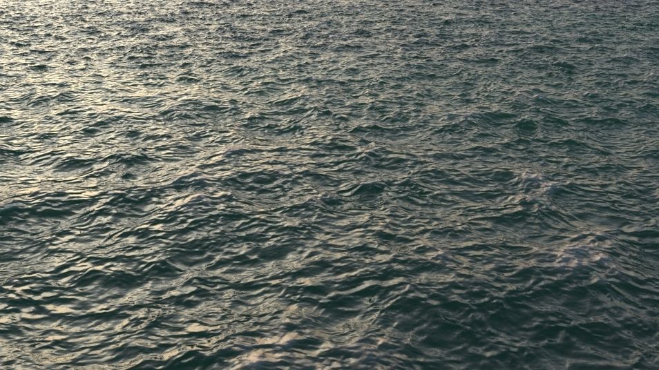Displacement animated ocean water with foam Texture animated | CGTrader
