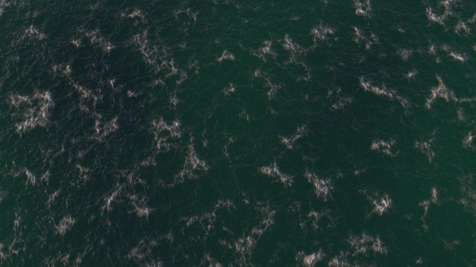 Displacement animated ocean water with foam Texture animated | CGTrader