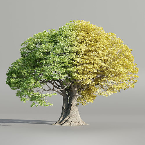 Landscape Tree vol 165-Blender 3D model | CGTrader