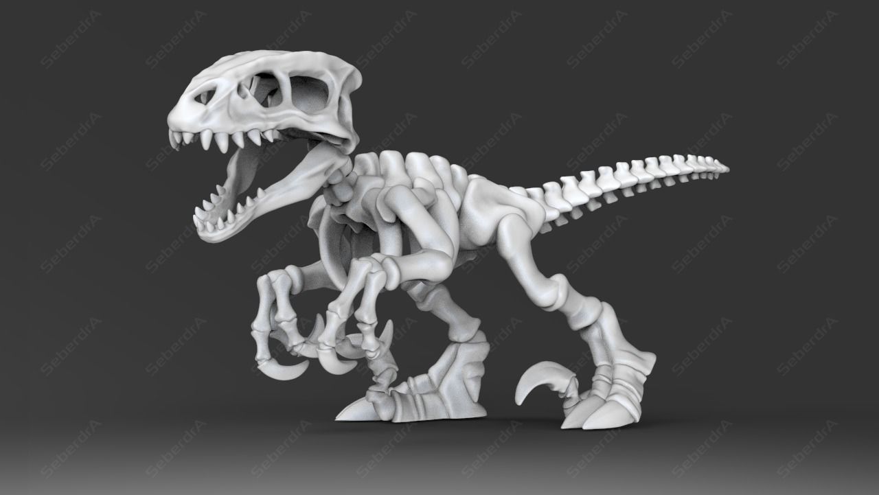 Raptor Skeleton STL for 3D model 3D printable | CGTrader