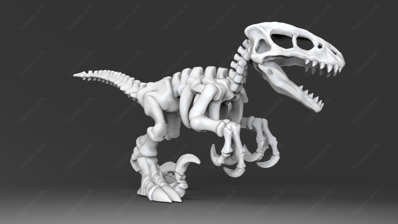 Raptor Skeleton STL for 3D model 3D printable | CGTrader