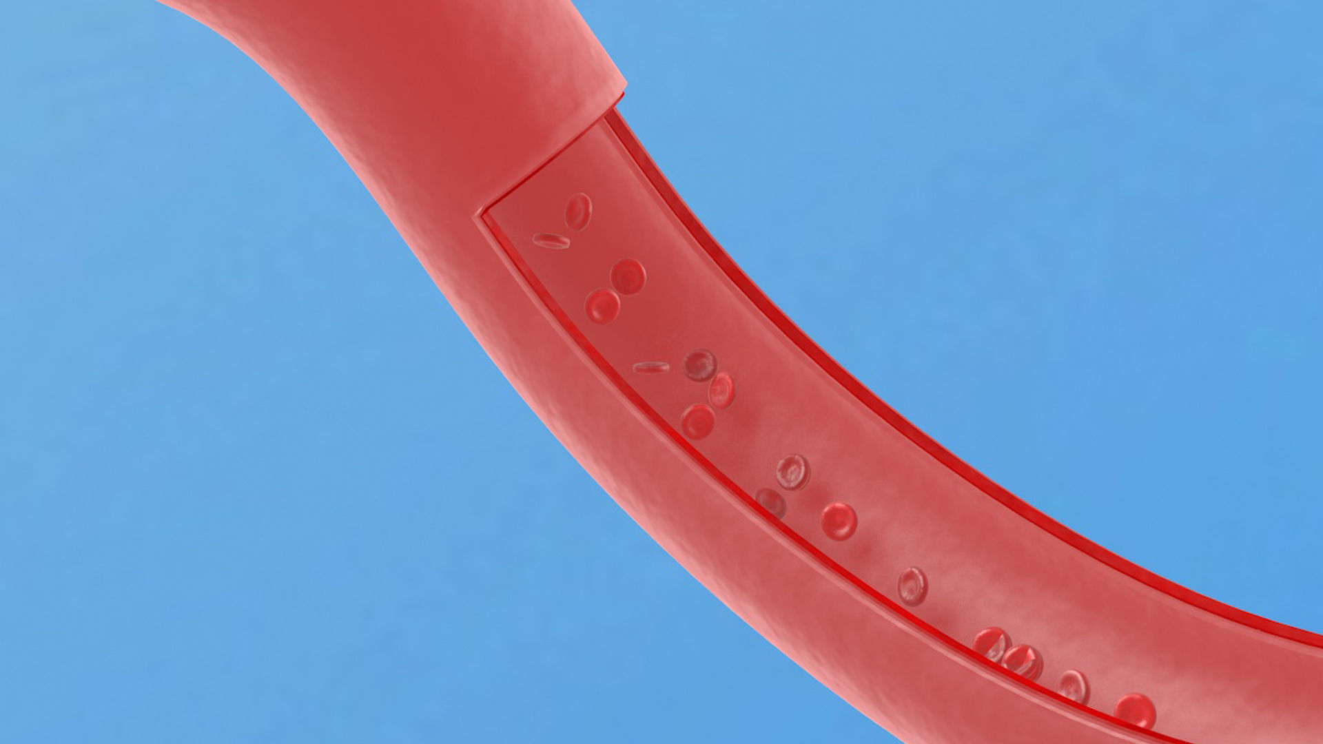 High quality blood cells model carrying of blood cells 3D model | CGTrader